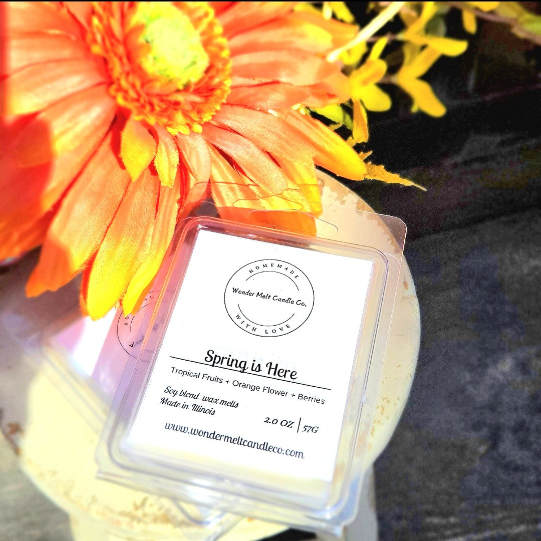 Candles along with bath and body products – Wonder Melt Candle Co